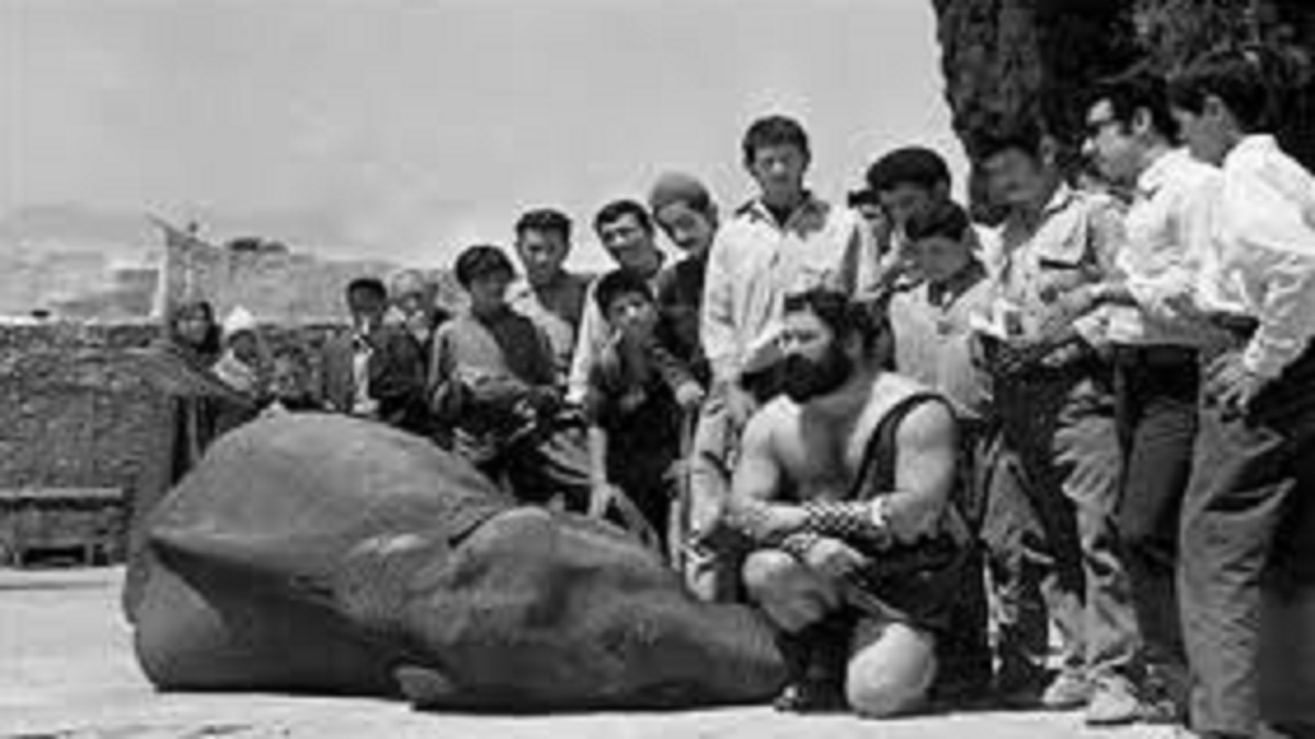 پهلوان خلیل عقاب فیل را بلند کرد هنرمندی که به تازگی درگذشت [+ویدیو ...